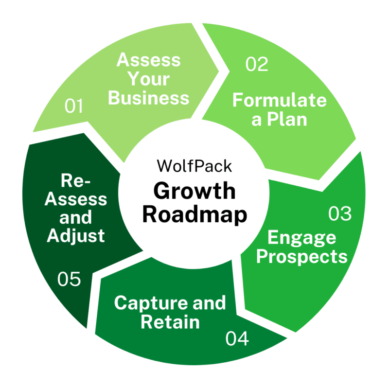 Business Growth Strategies Roadmap | WolfPack